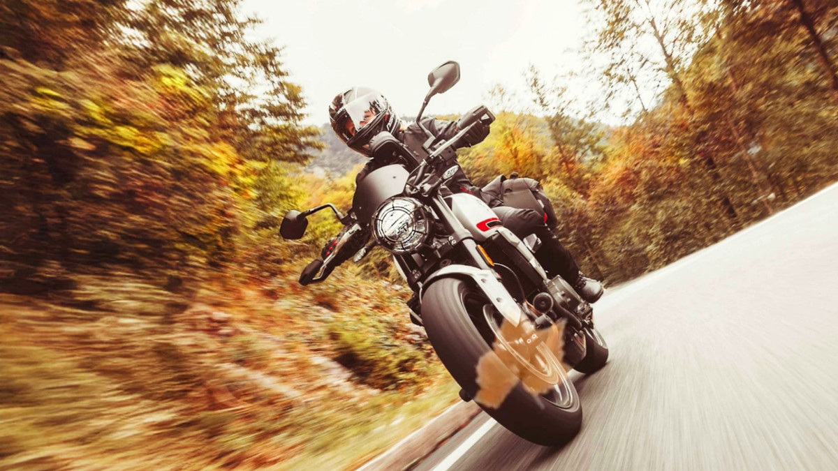 Louis – Moto : vêtements et articles techniques | Louis 🏍