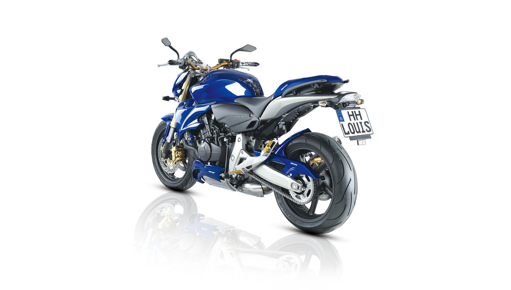 Honda CB 600 F Hornet Special Custom Bike | Louis 🏍